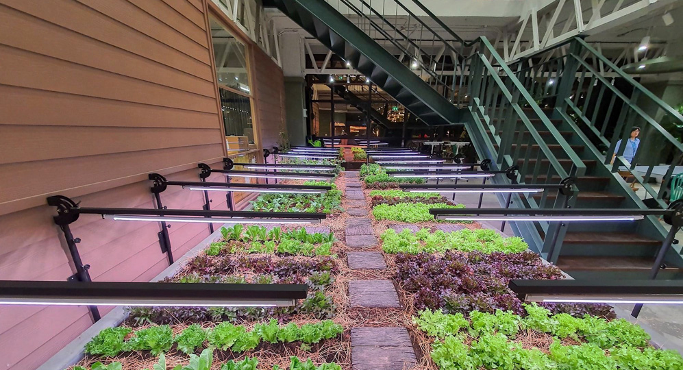 True Career - Jobs at True